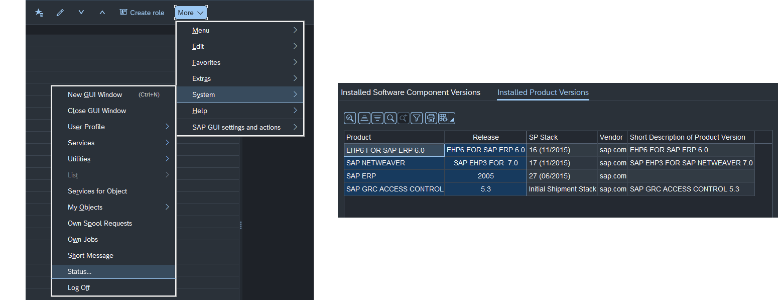 Understanding SAP & Its Versions