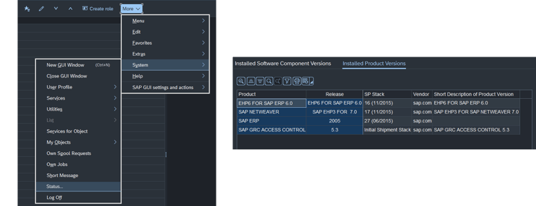 Understanding SAP & Its Versions